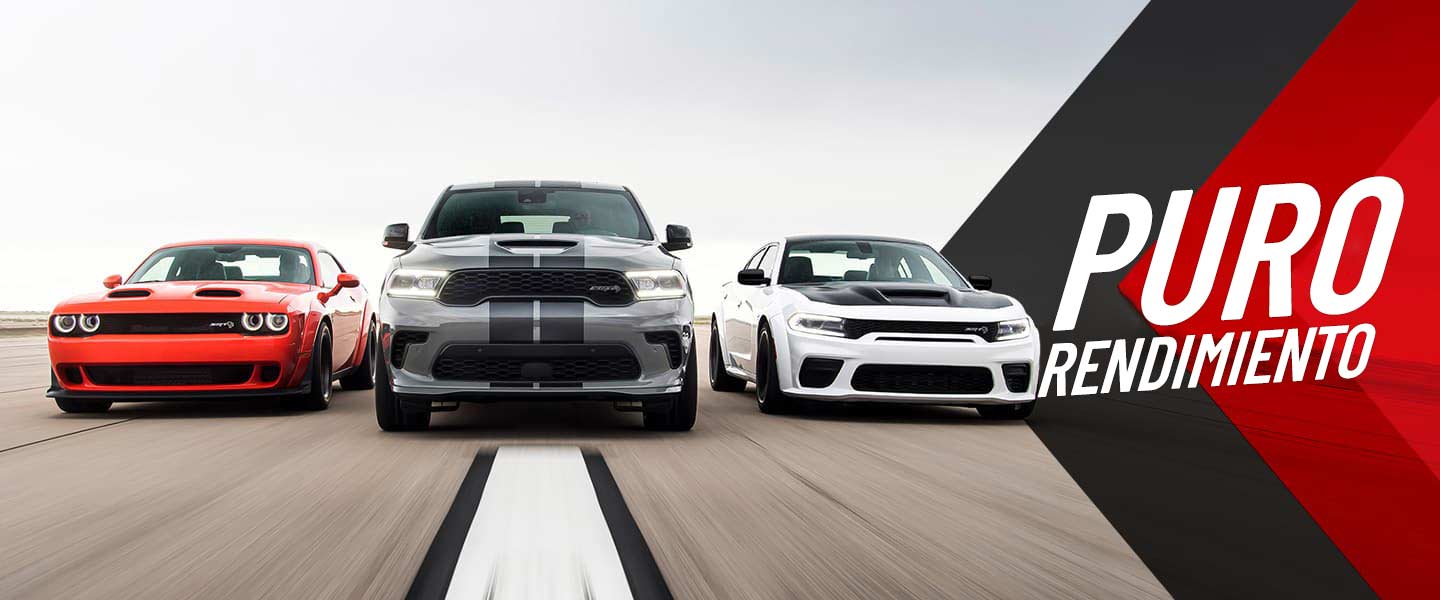 Todo Sobre Coches Dodge Qué Tipo De Coche Es Dodge? LA City Cars